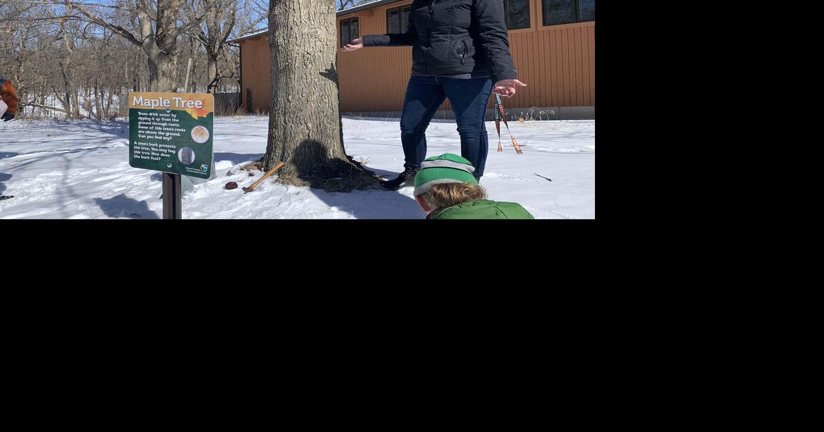 Rock Springs Nature Center to hold maple syrup programs