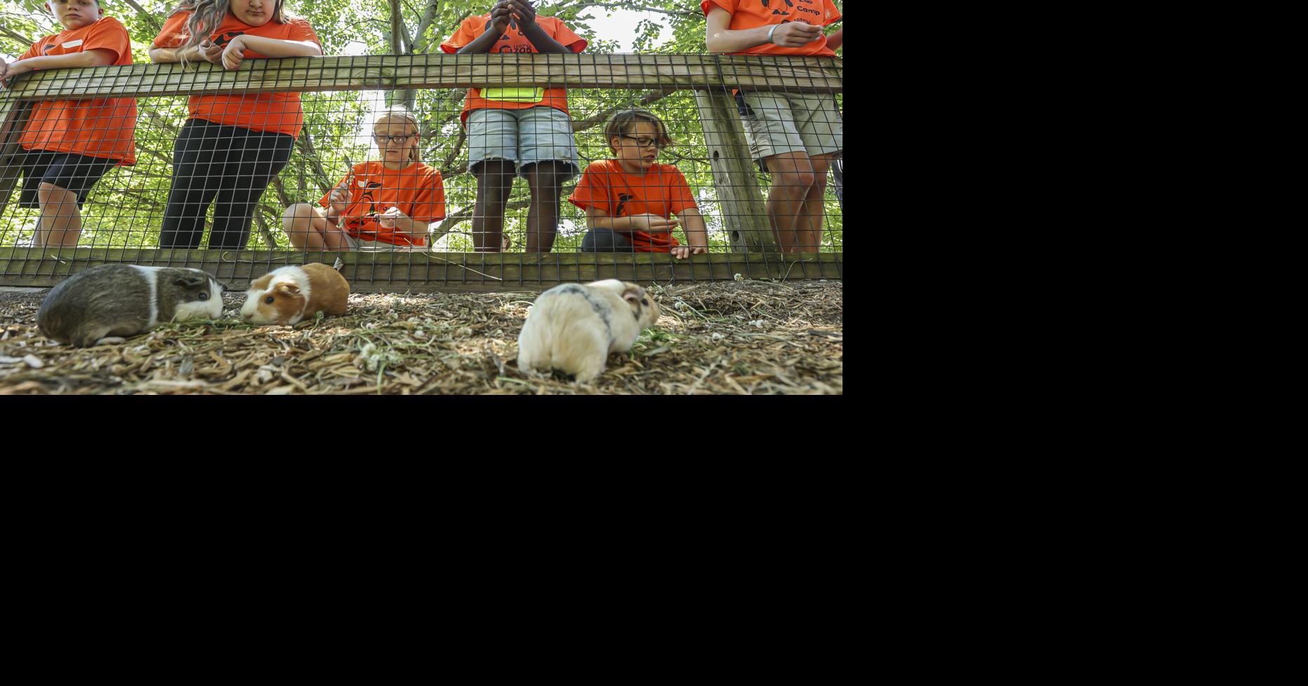 Decatur's Scovill Zoo isn't just for animals