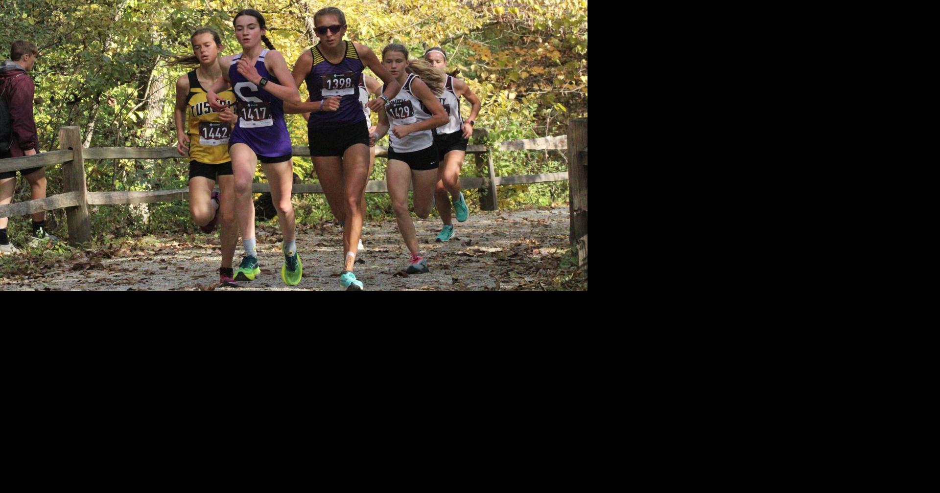 Setting state record years in the making for Tuscola's Foltz