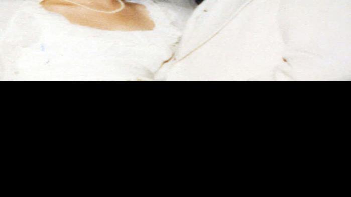 Mr. and Mrs. Russell Johnson | Anniversaries | herald-review.com