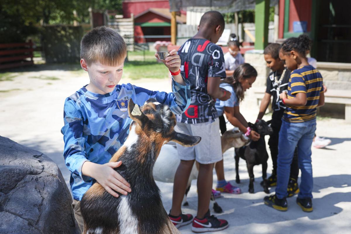 Trip to zoo looks to keep kids wild about school attendance