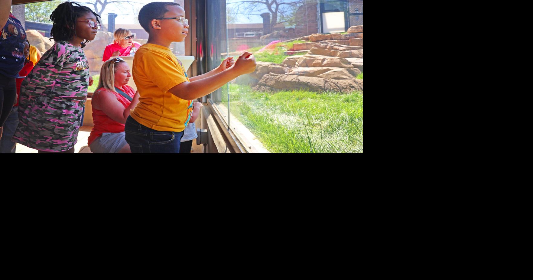 Photos: Scovill Zoo opens new exhibit