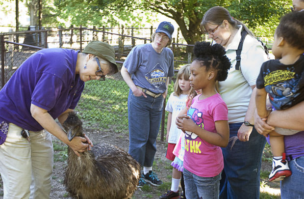 Scovill Zoo enjoying record attendance this spring