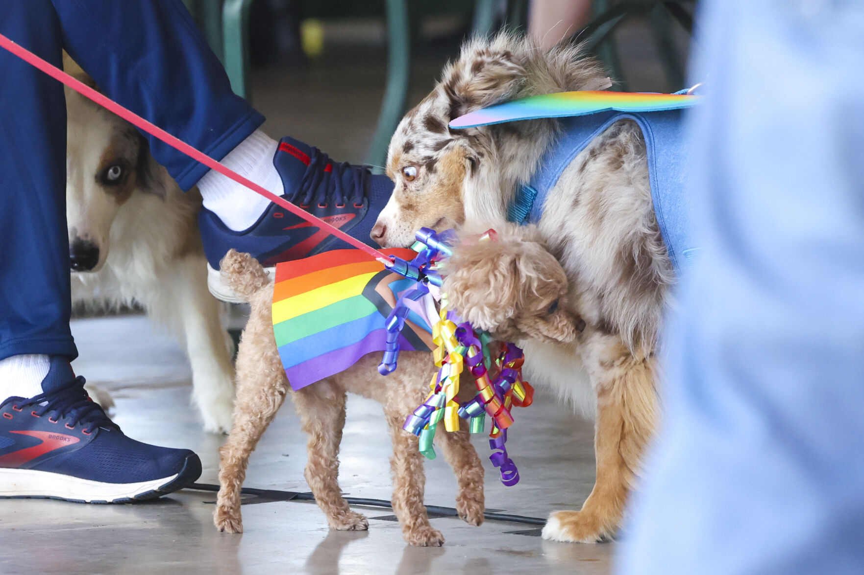 Photos: 2023 Decatur Pride Fest