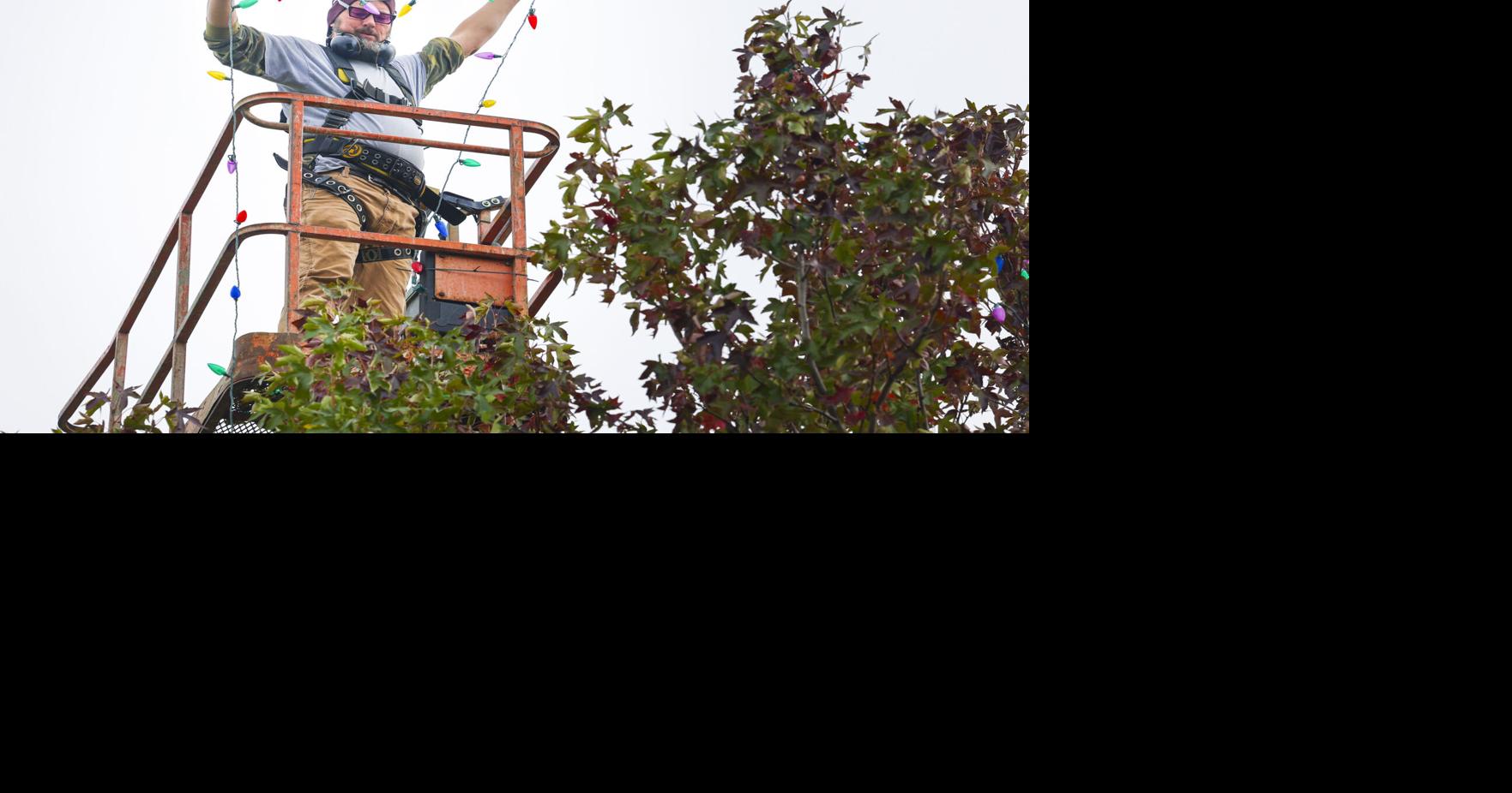 Decatur park crews prepare for Trees on the Tees