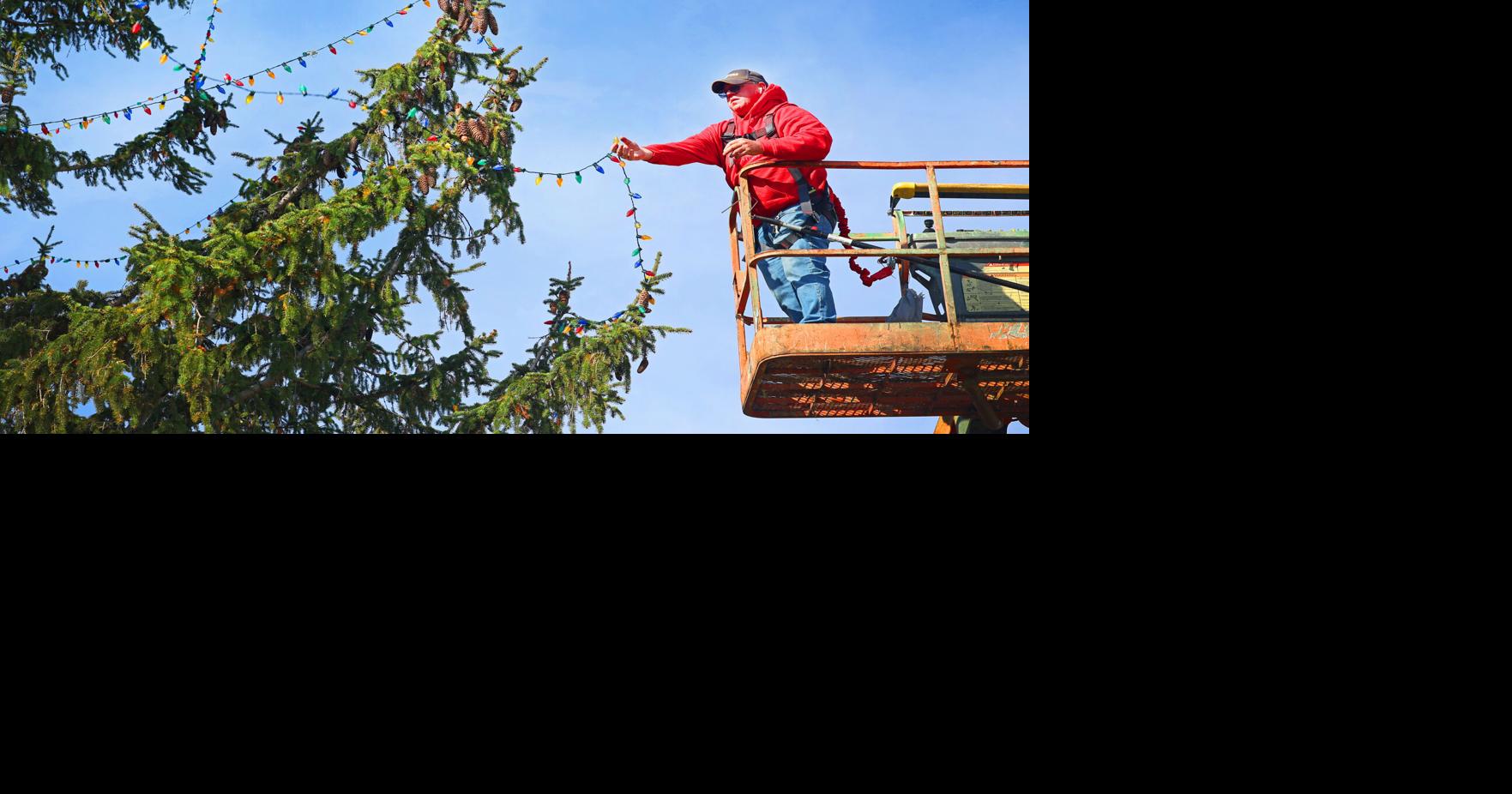 Saturday Trees on the Tees canceled due to weather