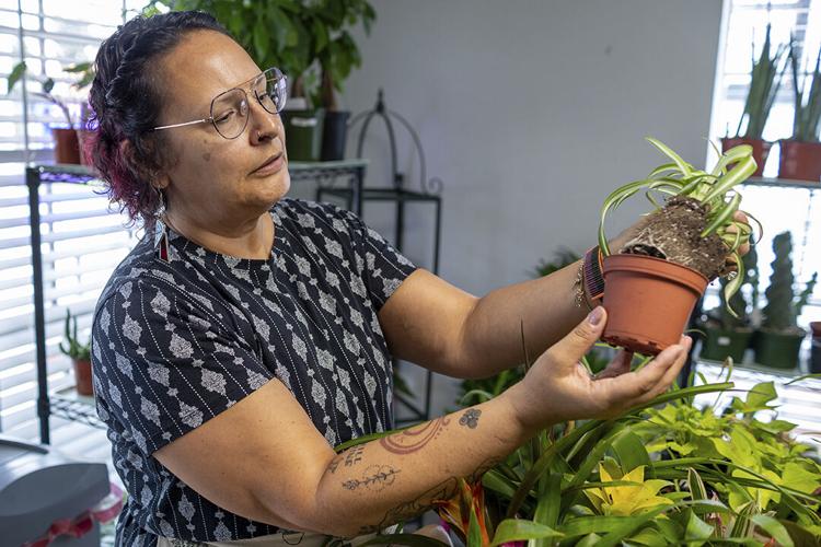 CULTIVATION STATION: Plant Culture Potting Bar aims to create more ...
