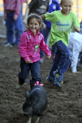 Pig wranglin’ a hit with kids | Local News | herald-zeitung.com