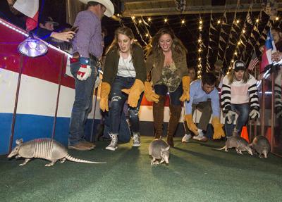 Krause’s Café to host monthly armadillo races | News | herald-zeitung.com