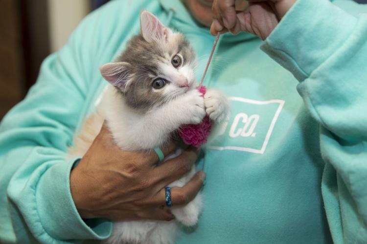 New Braunfels’ Faust Brewing Company to reopen April 1 | Community ...