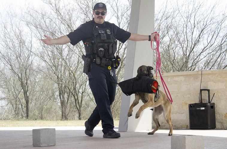 GALLERY: Fischer Park Dog Rodeo spotlights some of New Braunfels' most ...