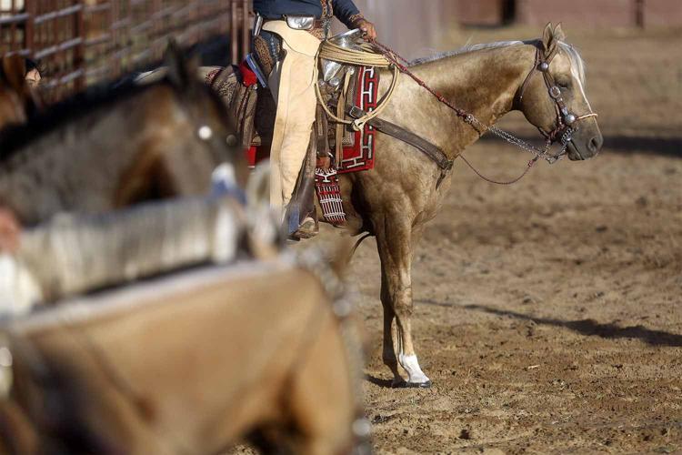 Gran Charreada event honors charro pioneer | News | herald-zeitung.com