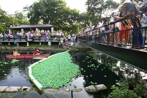 Frog Race winners announced | Local News | herald-zeitung.com
