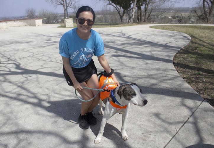 GALLERY: Fischer Park Dog Rodeo spotlights some of New Braunfels' most ...
