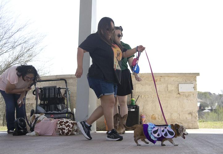 GALLERY: Fischer Park Dog Rodeo spotlights some of New Braunfels' most ...