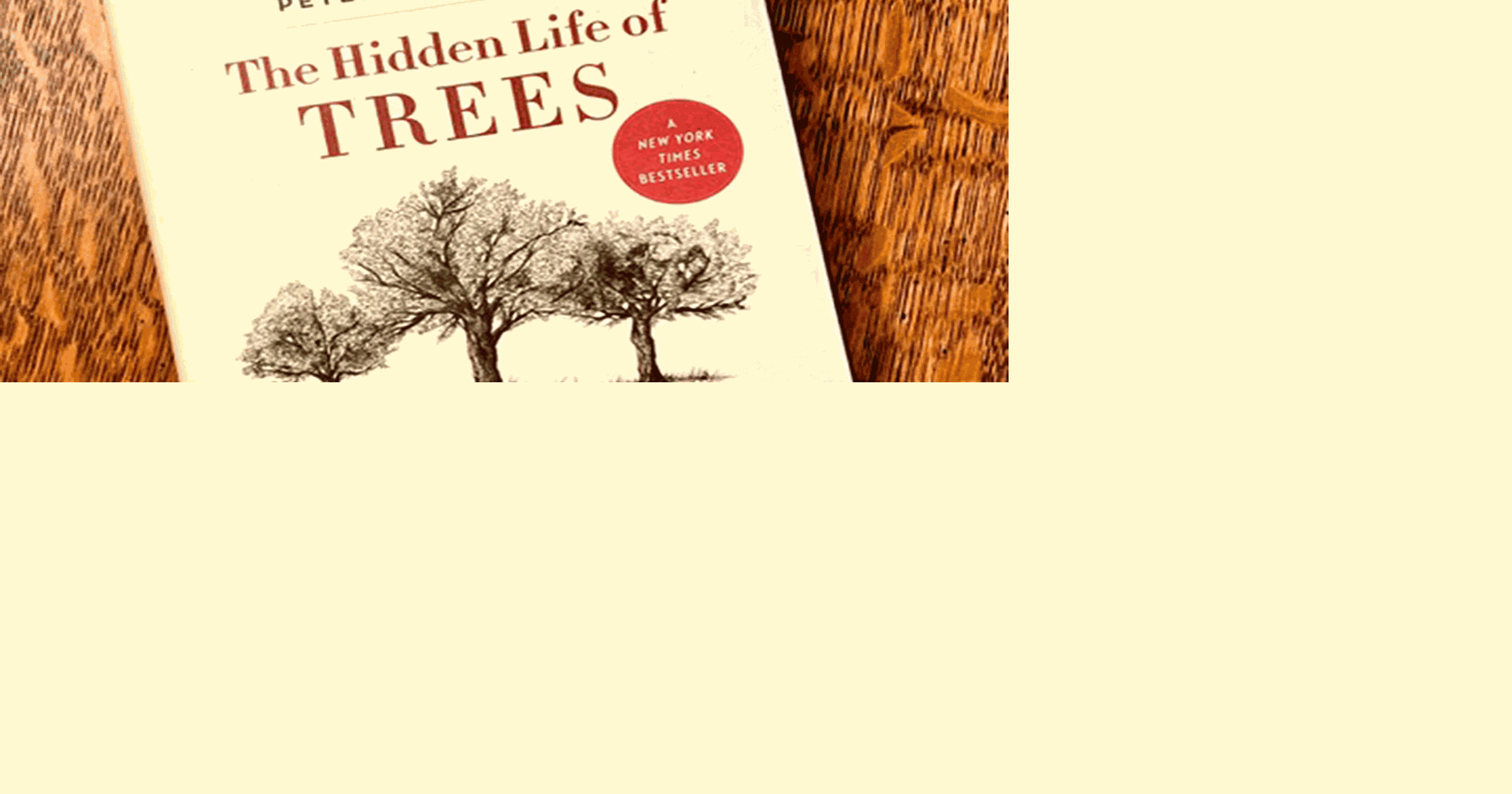 KRUEGER: Trees a timeless gift | Lifestyle | herald-zeitung.com