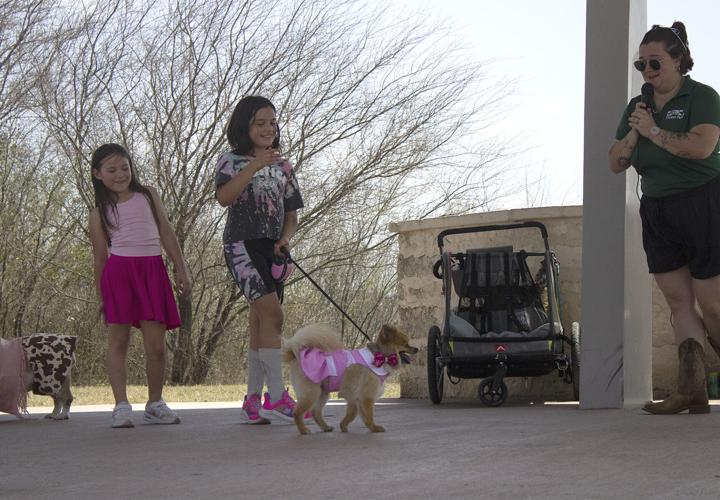 GALLERY: Fischer Park Dog Rodeo spotlights some of New Braunfels' most ...