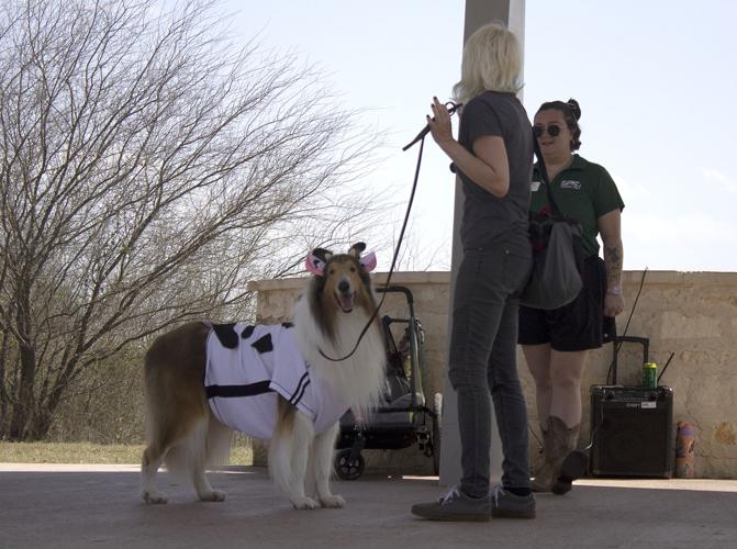 GALLERY: Fischer Park Dog Rodeo spotlights some of New Braunfels' most ...