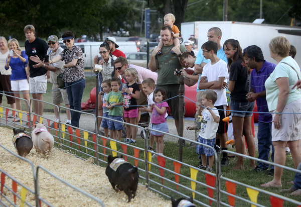 Pig races make debut at Comal County Fair | Local News | herald-zeitung.com