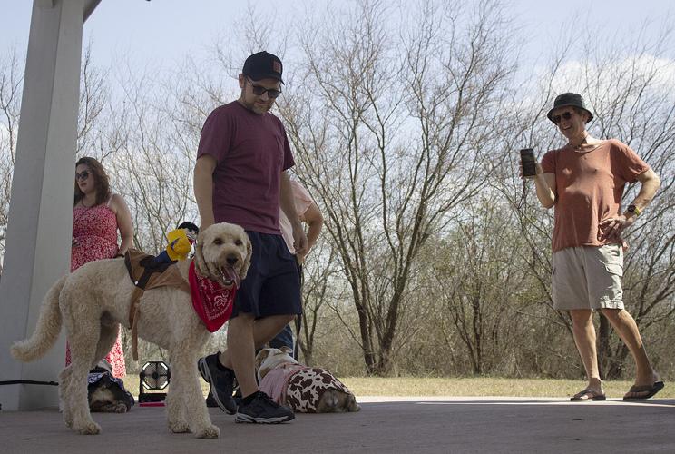 GALLERY: Fischer Park Dog Rodeo spotlights some of New Braunfels' most ...