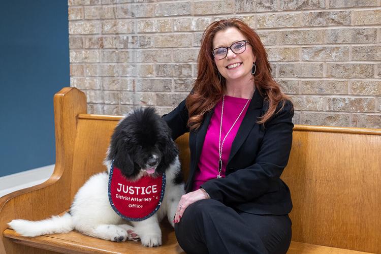 PAW & ORDER: New therapy dog named Justice comforts Comal County crime ...