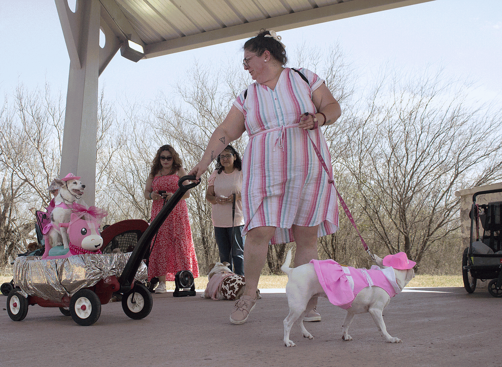 GALLERY: Fischer Park Dog Rodeo spotlights some of New Braunfels' most ...