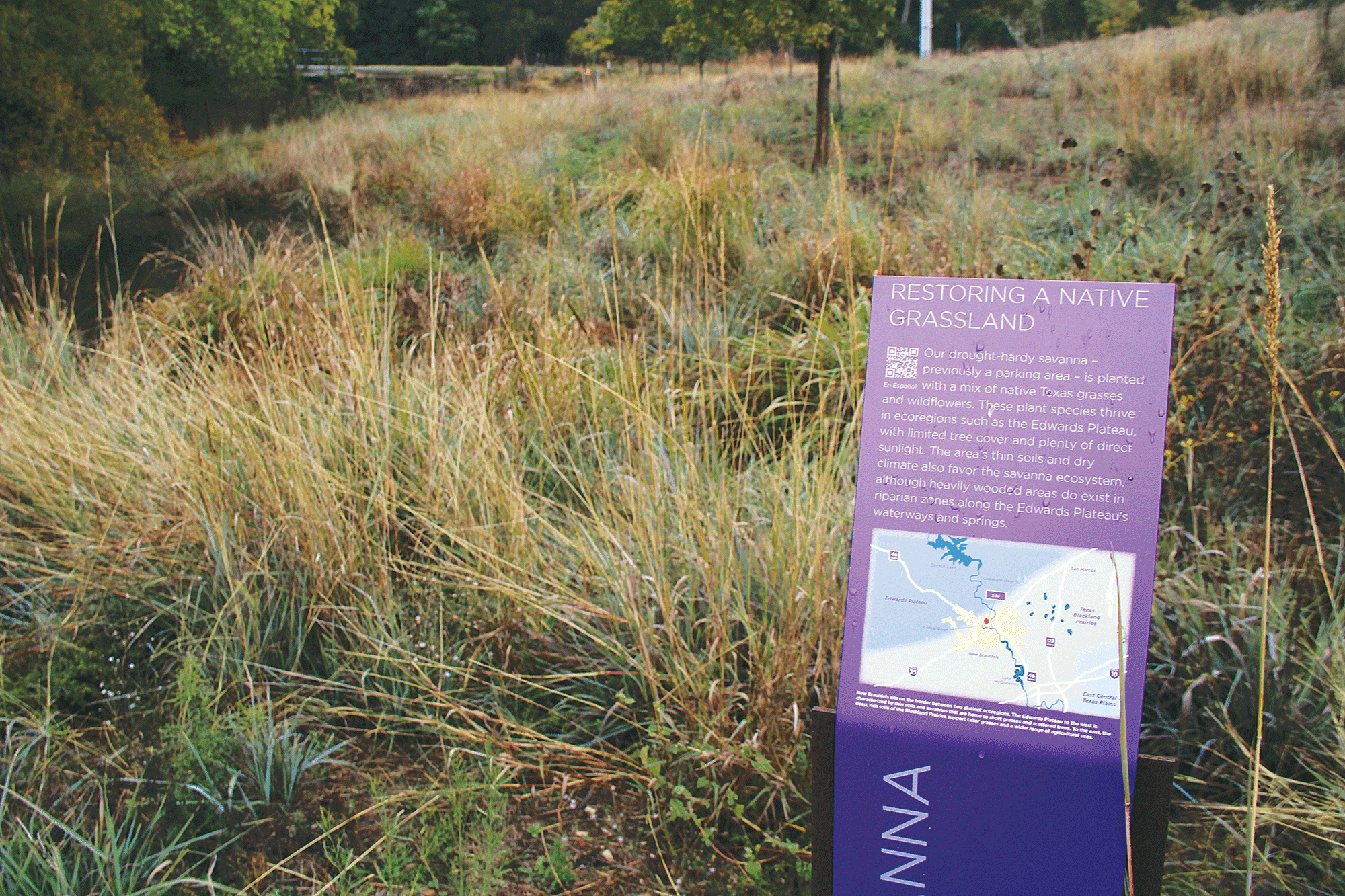 RIVER RESTORATION: Headwaters at the Comal work set to begin second ...