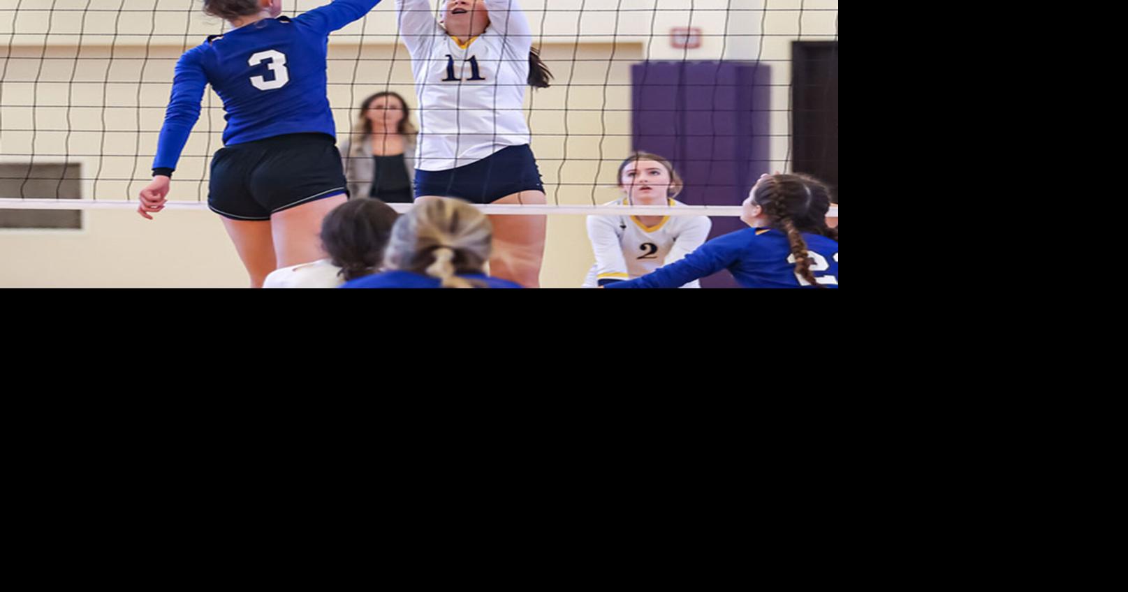 Lady Guardians lose 3-2 in regional round | Sports | herald-zeitung.com