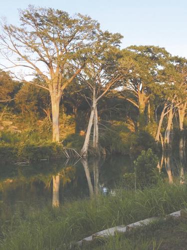 Environmental advocates urge county forward in conservation efforts ...