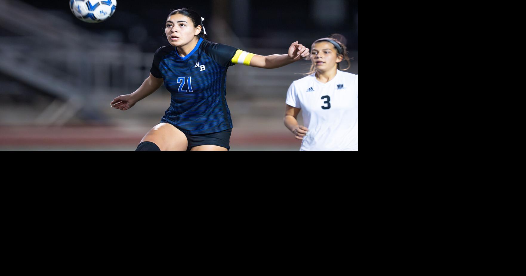 Sanchez scores hat trick against Hornets | Sports | herald-zeitung.com