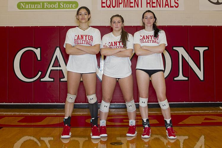 Canyon volleyball’s dream season continues | Community Alert | herald ...