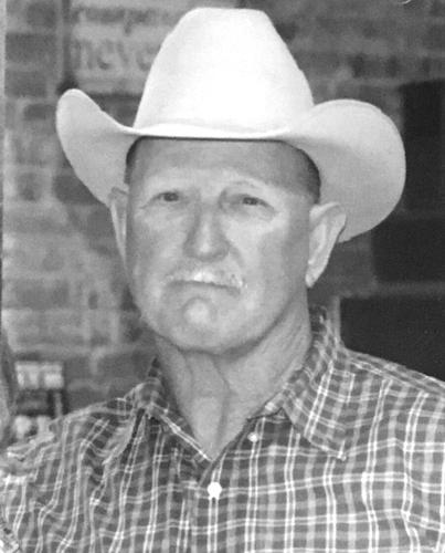 Donald Hajek | Obituaries | herald-zeitung.com