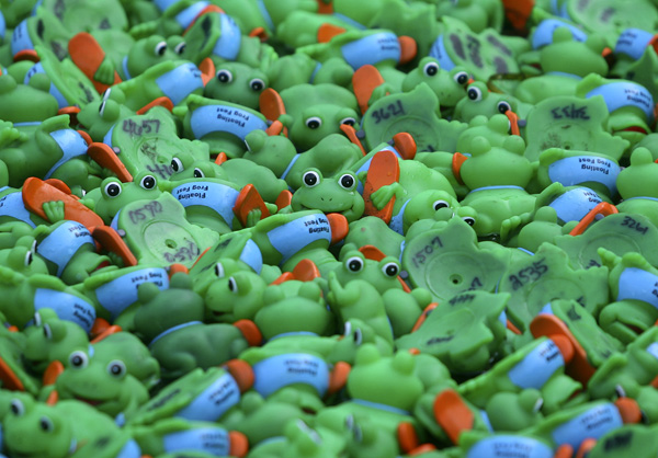 Frog Race winners announced | Local News | herald-zeitung.com