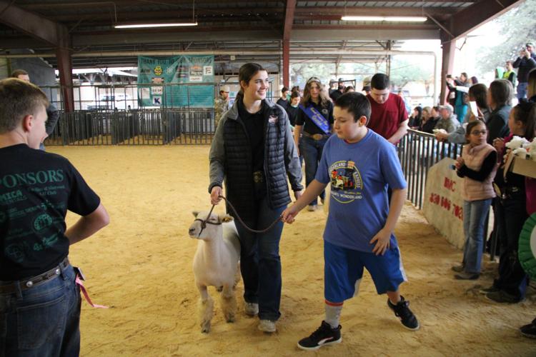 Special Hearts Livestock Show shares love of animals with special needs ...
