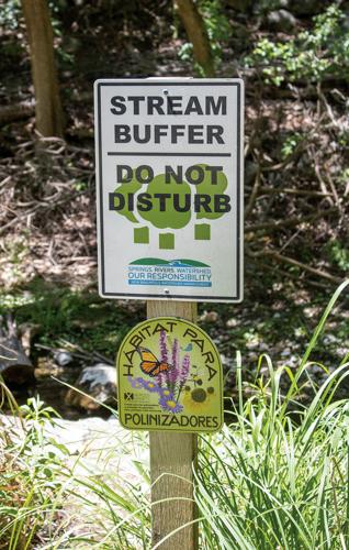 OVERCOMING THE DROUGHT: Conservation remains the key to making it ...