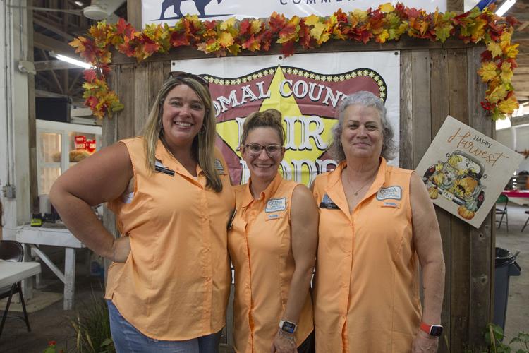 WESTERN TEXTURES: Comal County Fair & Rodeo kicks off with contests ...