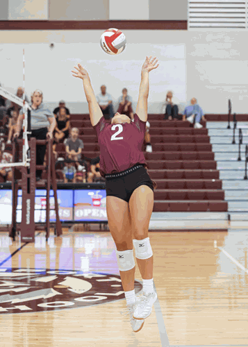 Davenport volleyball stifles Steele in opener | Sports | herald-zeitung.com