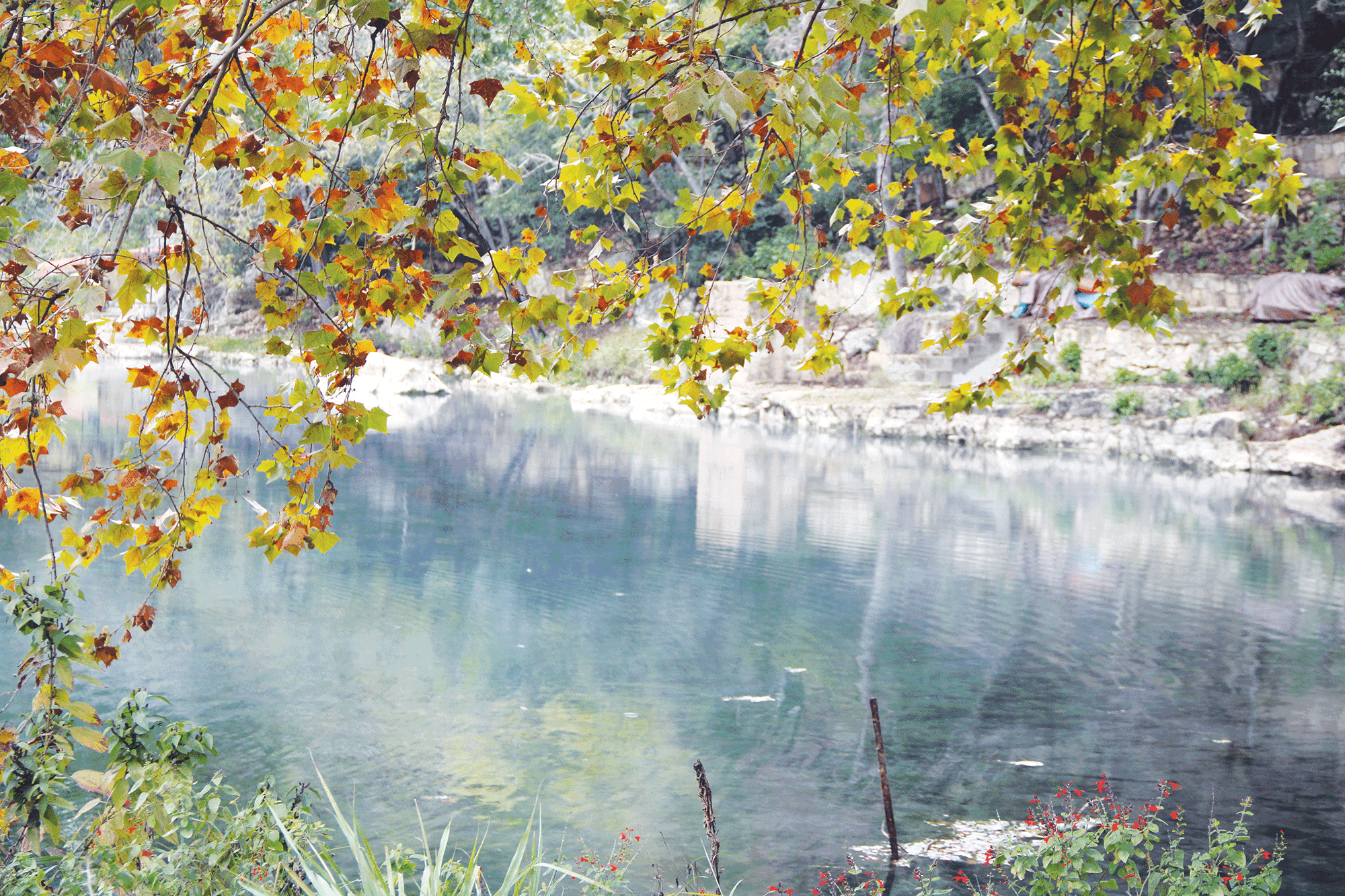 RIVER RESTORATION: Headwaters at the Comal work set to begin second ...