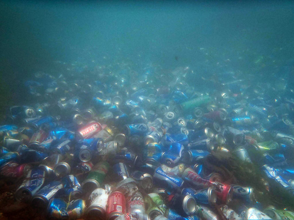 RIVER WILD: State gives river clean bill of health, but local divers ...