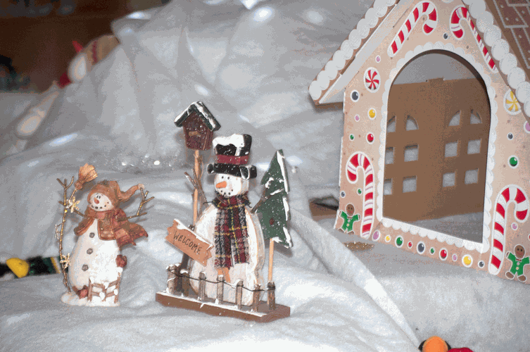Seele Elementary librarian creates ‘Winter Wonderland’ for New ...