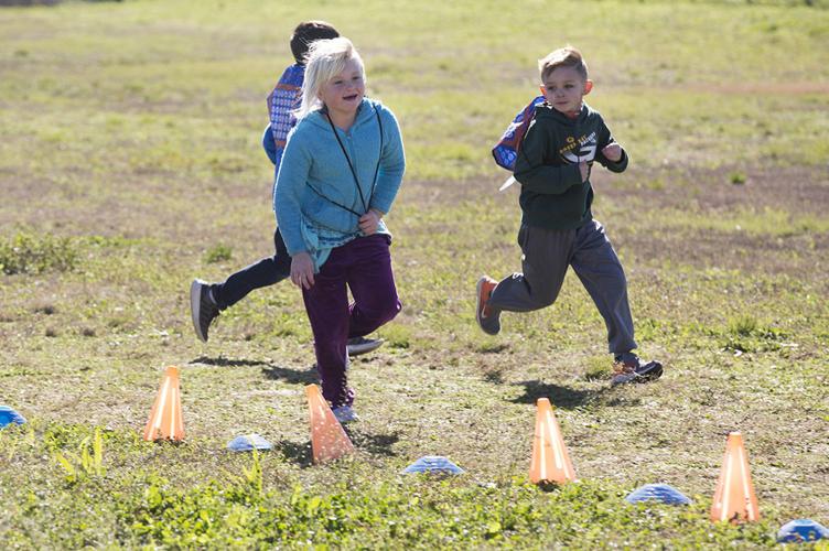 APEX Fun Run | Multimedia | herald-zeitung.com