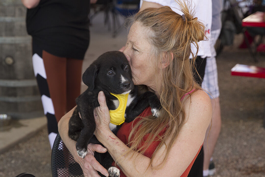 Pups and Pints slated for late March in New Braunfels | News | herald ...