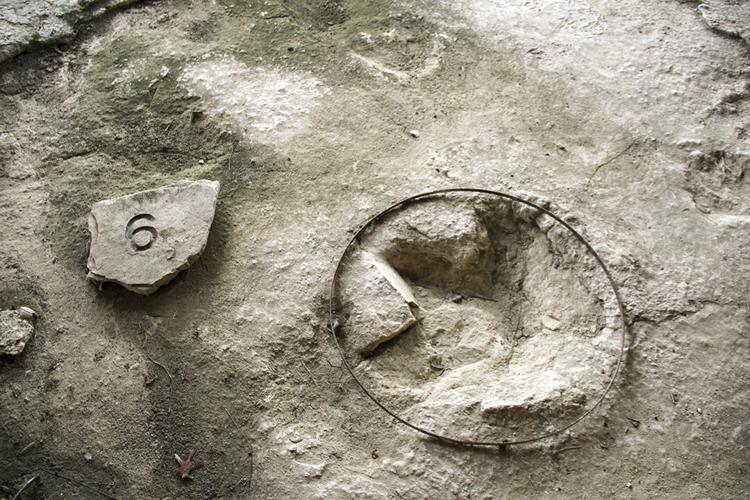 Comal County's Canyon Lake Heritage Museum celebrates Dinosaur Day ...