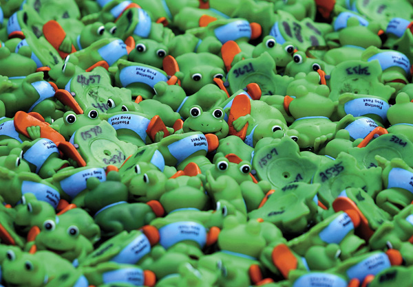 Frog Race slated for Friday | Local News | herald-zeitung.com