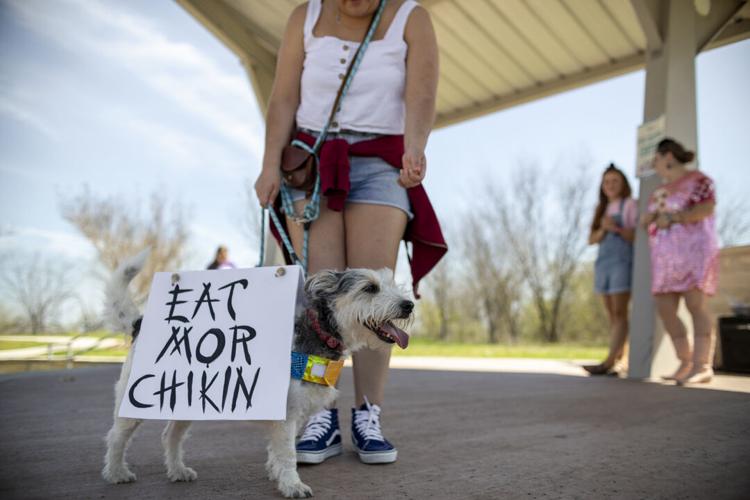 CANINE COMPETITION: Fischer Park Dog Rodeo hosts costume contests ...
