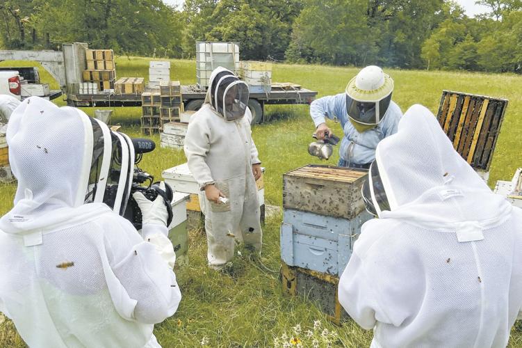 New Braunfels beekeeper show takes wing | Community Alert | herald ...