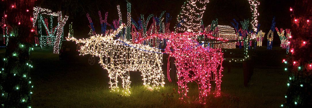 Lights all aglow: Santa's Ranch returns with new offerings | News ...
