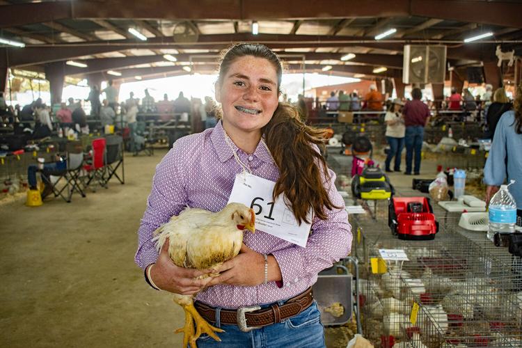 BEST OF CLUCK: Local FFA, 4-H students showcase broilers at Comal ...