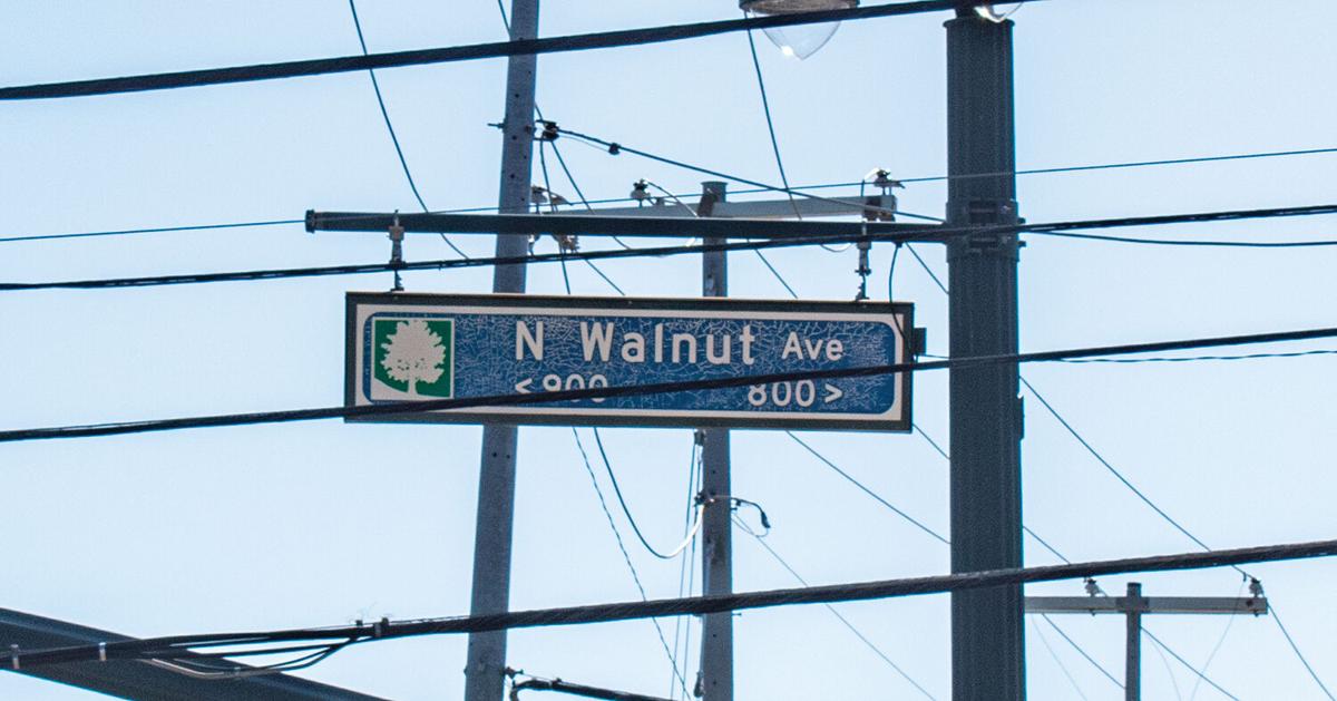 Repaving of Walnut Avenue from County Line to Klein Road to begin June ...