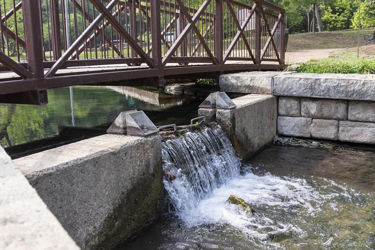 Unlock the benefits of the natural world | Magazine | herald-zeitung.com